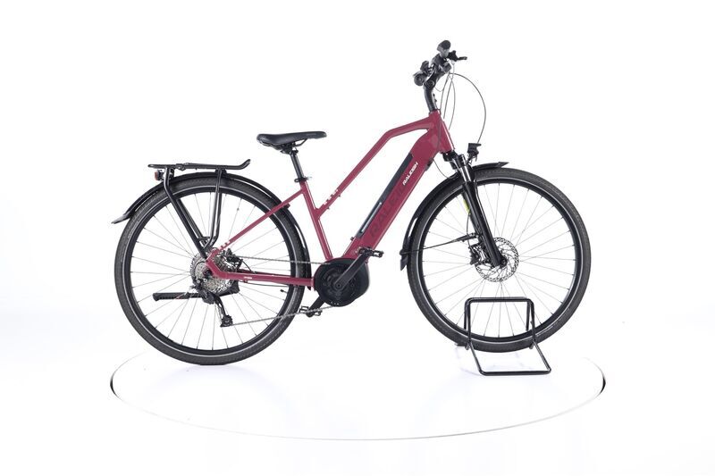 Raleigh Kent 9 (2022) | Trapez | jetzt 30 Tage Rückgaberecht