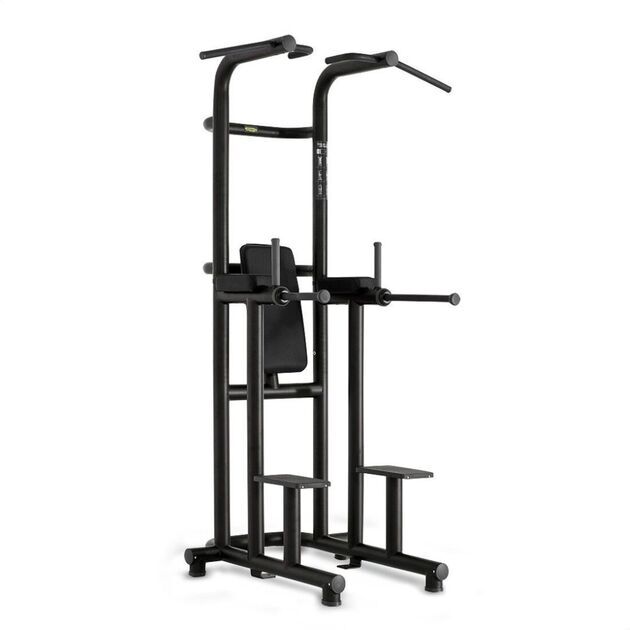 Technogym Chin Up Dip Leg Raise - Refurbished Fitnessgerät